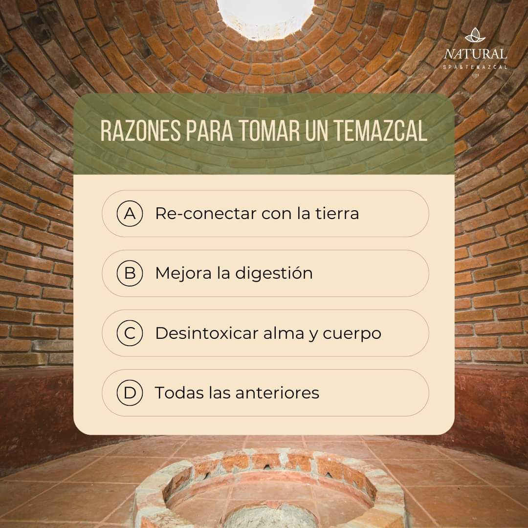 Natural Spa y Temazcal – Somos el primer Spa y Temazcal en Toluca y ...